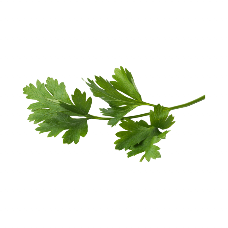 Parsley Powder in Canada, Parsley Leaf Powder - N49 Naturals