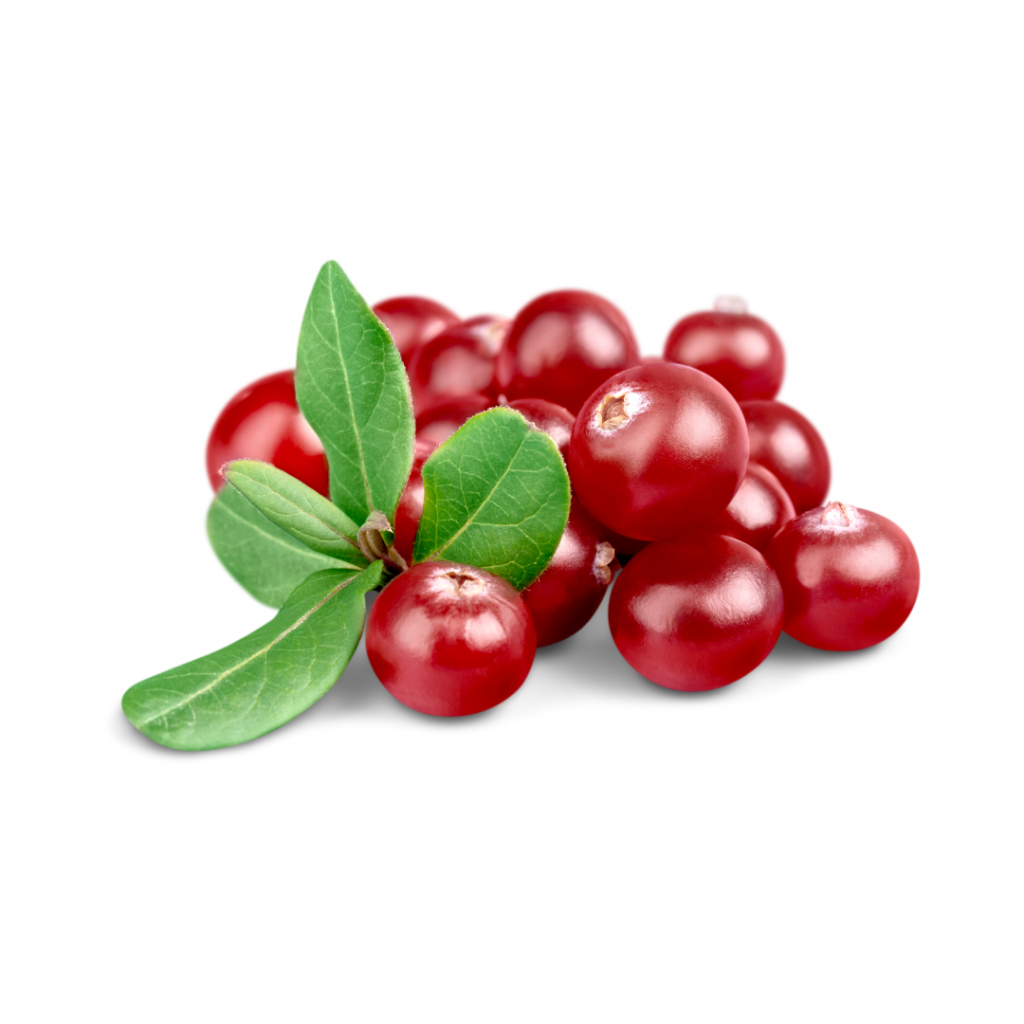 Cranberry Powder in Canada, Pure Cranberry Powder Bulk - N49 Naturals