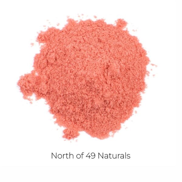 Buy 100% Organic Strawberry Powder | North of 49 Naturals